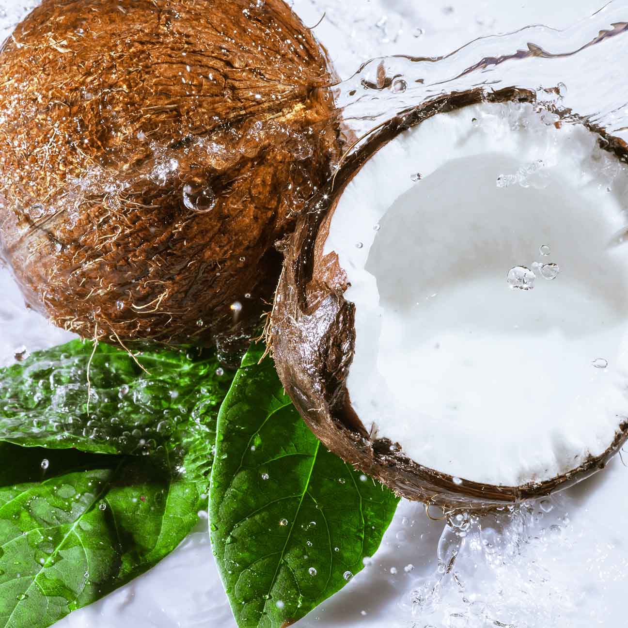 Coconut Water(MitoClean) - Anti-oxidant Ingredients | CTKCLIP