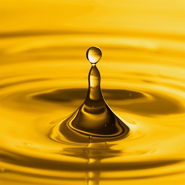 Omega Plus - Skin Barrier Ingredients | CTKCLIP