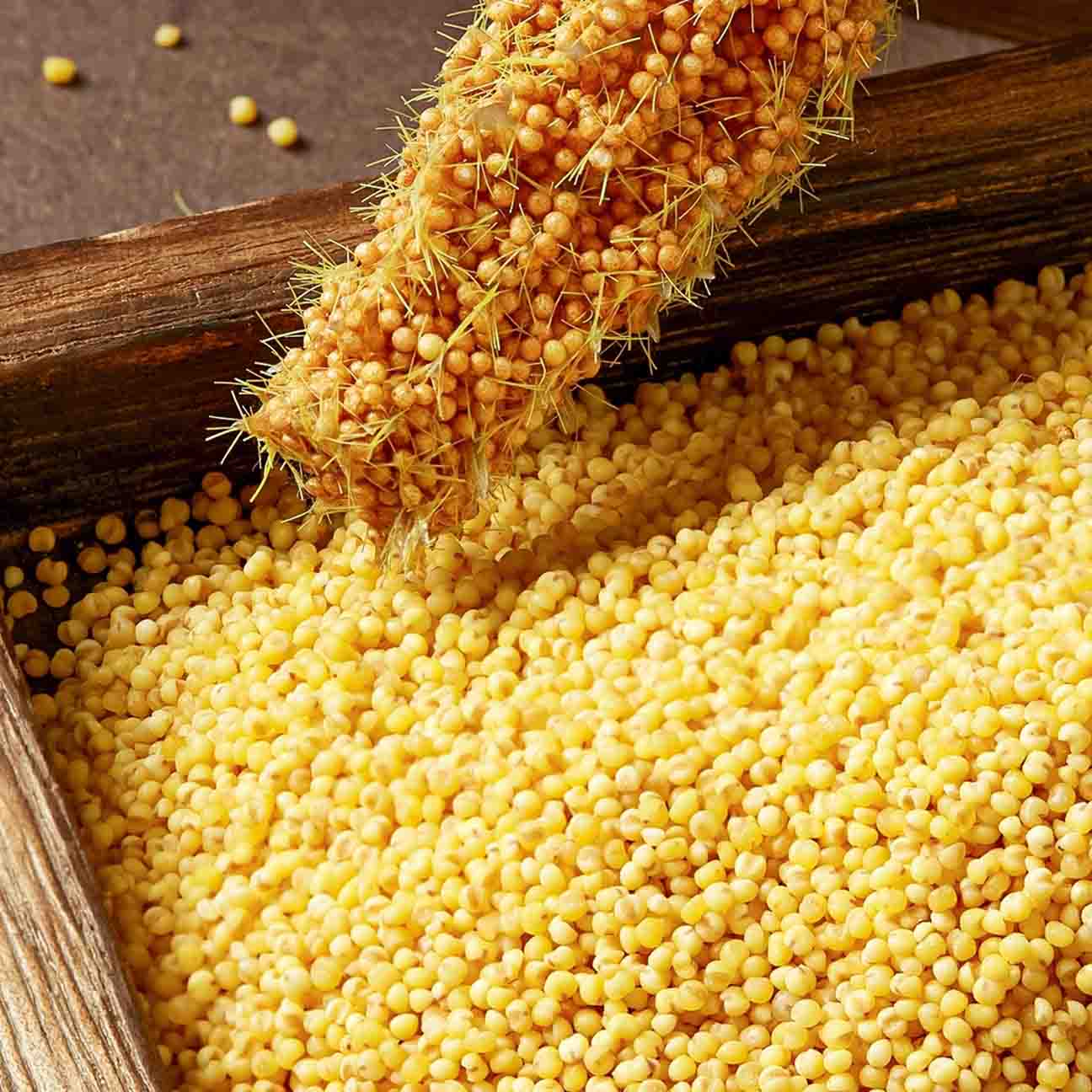 Jeju TRADITIONAL FERMENTED Extract - Moisturizing Ingredients | CTKCLIP