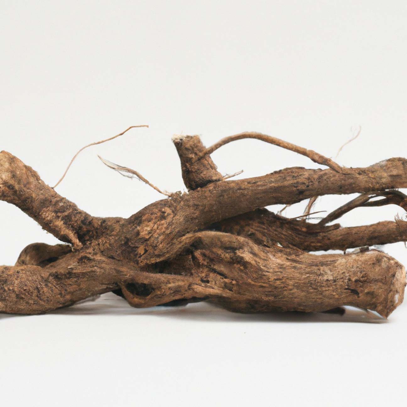 N Licorice Root Extract G (PG) - Sensitive Ingredients | CTKCLIP