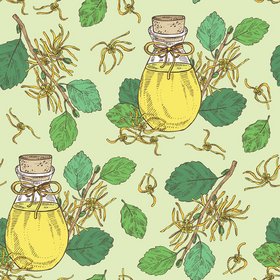 Hamamelis Virginiana (Witch Hazel) Leaf Extract G - Sensitive ...