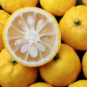 CTKCLIP | Citrus Junos Fruit Extract P (B)