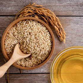 CTKCLIP | Jeju Dry-field Rice Extract G (PG)