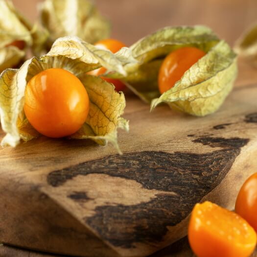 Physalis Angulata Extract(Ecophysalis) - Anti-aging Ingredients | CTKCLIP