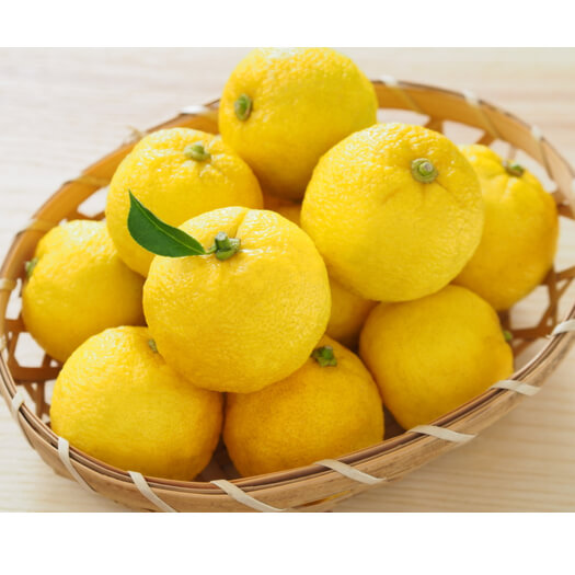 유자씨오일 - 원료 Ingredients | CTKCLIP