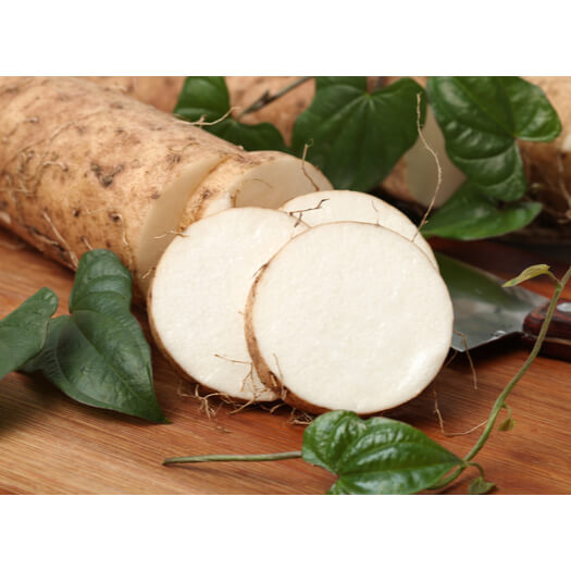 Dioscorea Opposita (Wild Yam) Root Extract M (B) - Sensitive ...